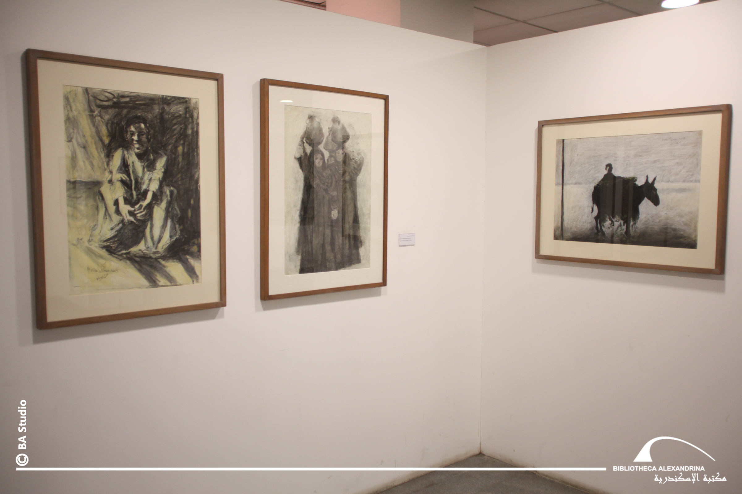 Hamed Said - Photo Gallery - Bibliotheca Alexandrina