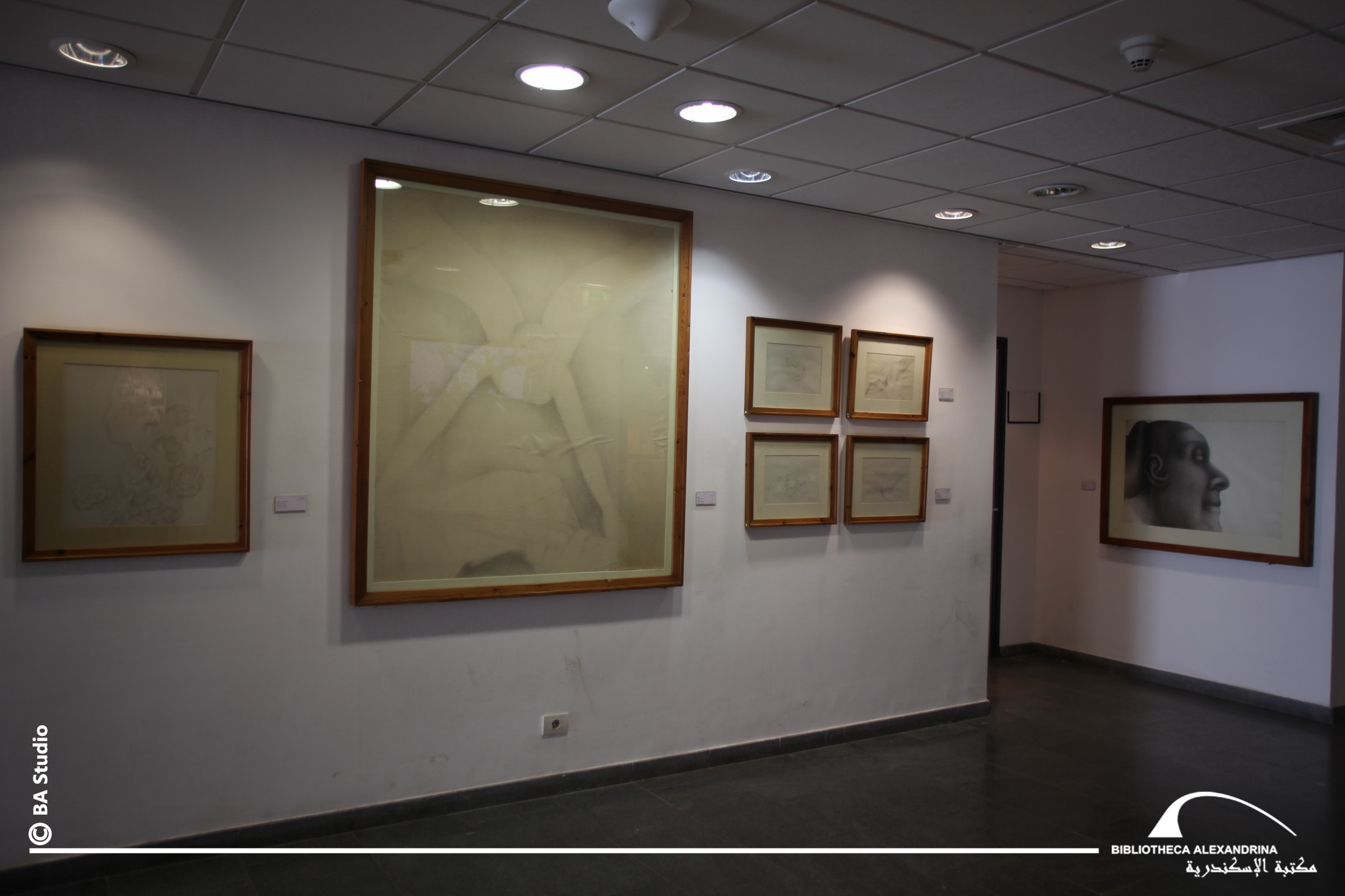 Hamed Said - Photo Gallery - Bibliotheca Alexandrina
