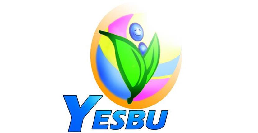 Youth for Environmental Sustainability and Better Understanding (YESBU ...