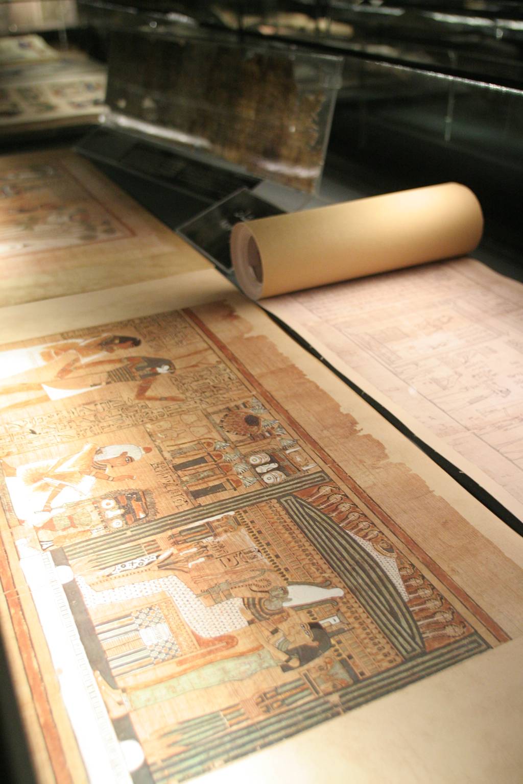 Manuscripts Museum - Bibliotheca Alexandrina